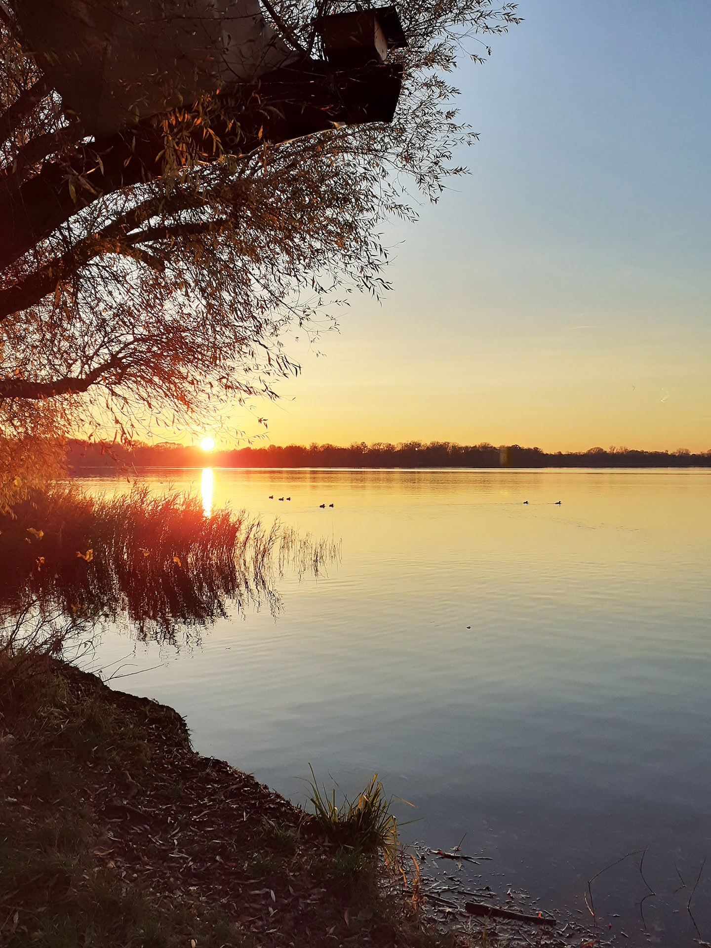 Ferienlounge Potsdam – so schön wie zuhause